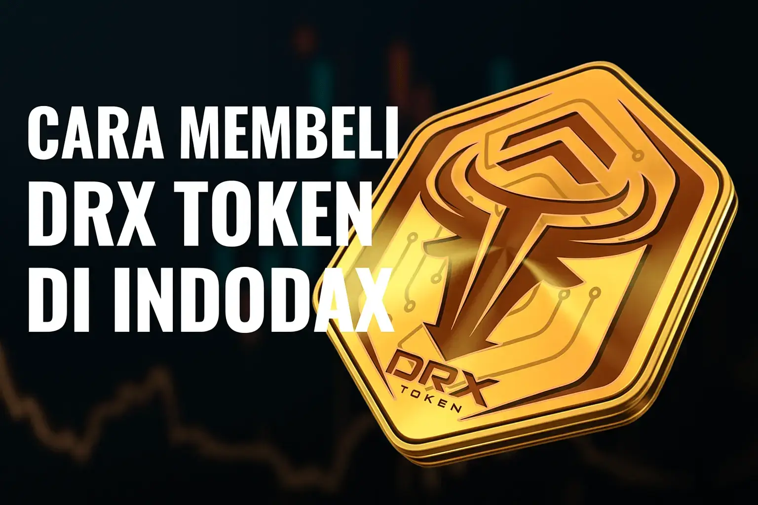 Cara Membeli DRX Token di Indodax, Panduan Lengkapnya!